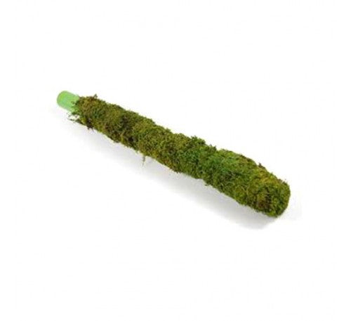 Moss Sticks for plants climbing buy online in India at plantsguru.com