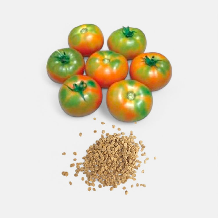 Buy Tomato Seeds PKM - 2gm online at best price