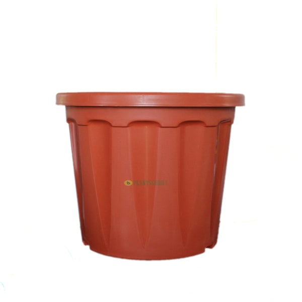 Buy Blossom Pot TC 16 inch (Pack of 5) online at best price – Plantsguru