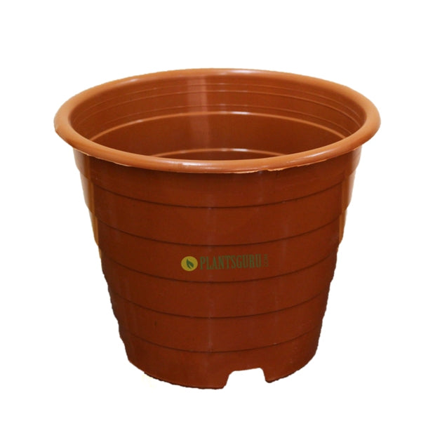 Buy Designer Pot TC 8 inch (Pack of 2) online at best price