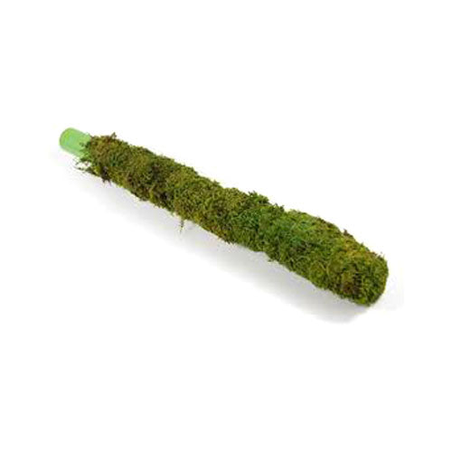Buy Moss Stick (4Feet) online at best price