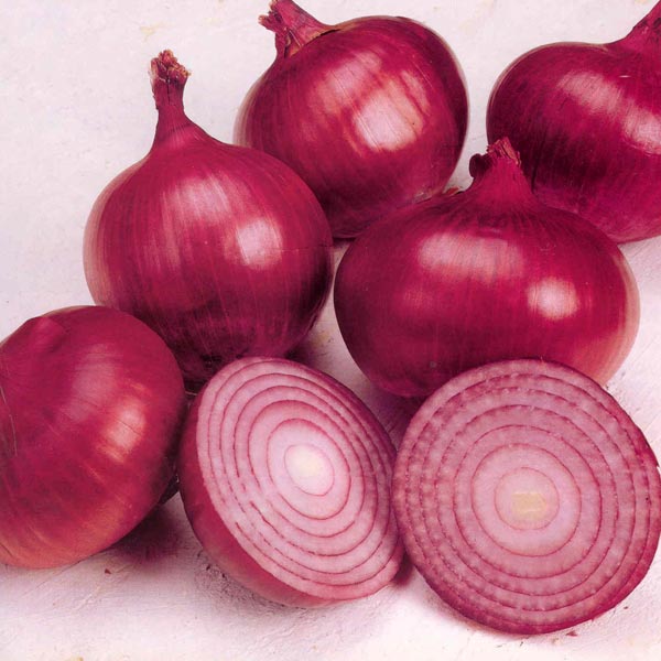 Buy Sunrise Onion Light Red Hybrid Seeds online at best price