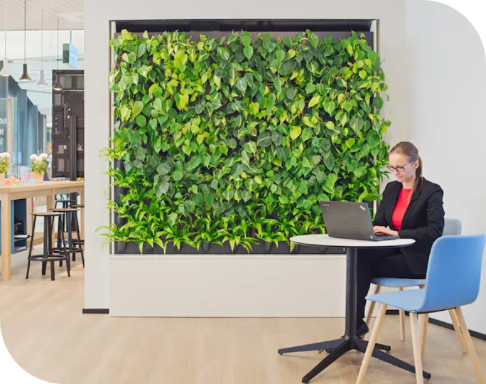 Vertical Gardening Service | GreenWall Installation Pune